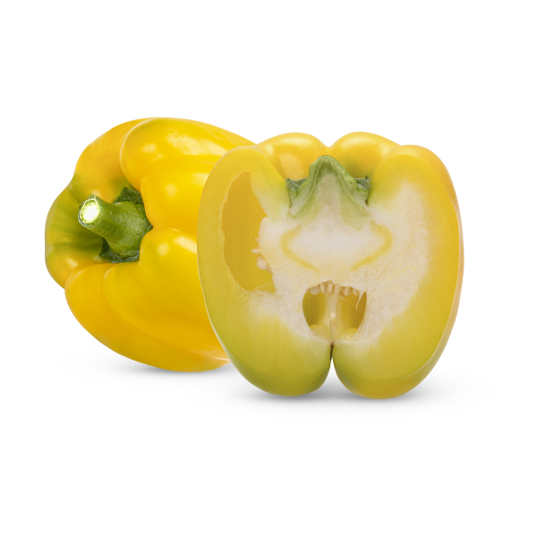 FastKart Marketplace: Where Vendors Shine Together